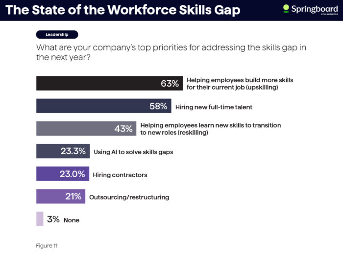 Workforce Skills Gap Trends 2024: Survey Report